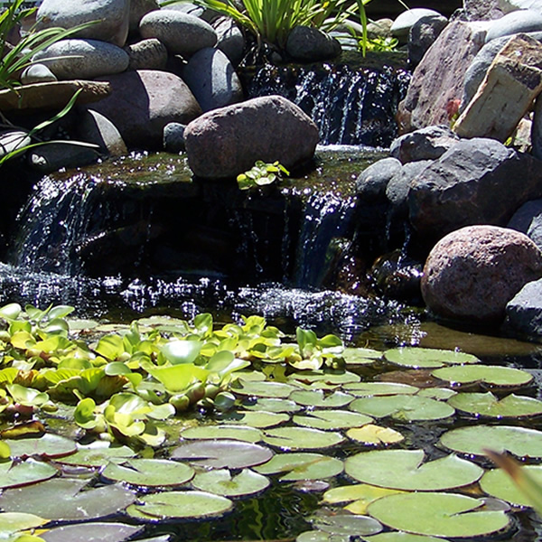 Shop | Concrete Garden Supply